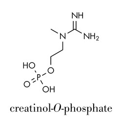 Chemical Formula Phosphate Vector Images (over 340)