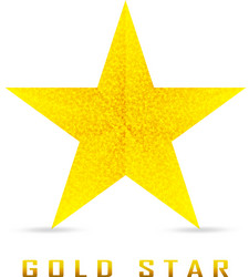 Single golden star shine on white background Vector Image
