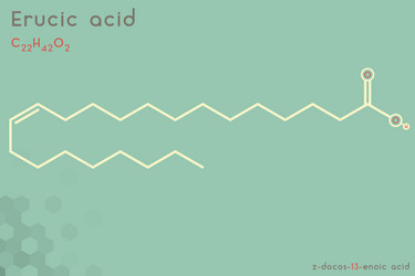 Infographic molecule peroxydisulfuric ac Vector Image