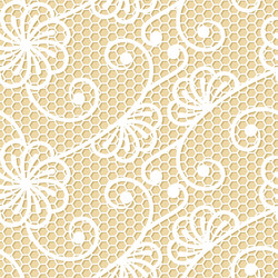 Background with white lace pattern Royalty Free Vector Image
