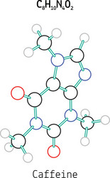C8h10n4o2 caffeine molecule Royalty Free Vector Image