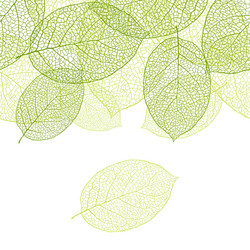 Leaves Vector Images (over 630,000)