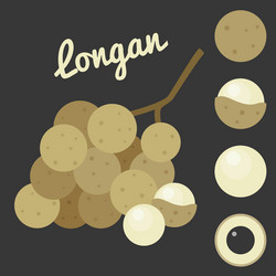 Longan icon Royalty Free Vector Image - VectorStock