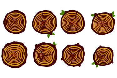 Cut tree trunk stump cross section Royalty Free Vector Image