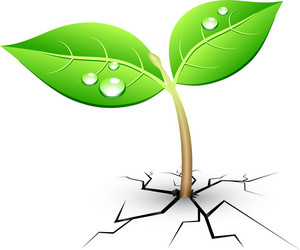 New Life Vector Images (over 23,000)