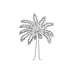 Date Palm Tree Coloring Pages