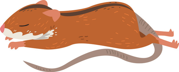 Field mouse lying on its stomach and sleeping Vector Image