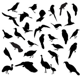 Birds Vector Images (over 520,000)