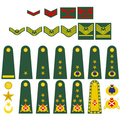 U.S. Army Rank Insignia Royalty Free Vector Image