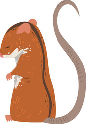 Field mouse lying on its stomach and sleeping Vector Image