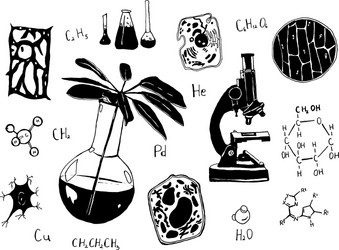 Hand drawn sketch of chemistry Royalty Free Vector Image