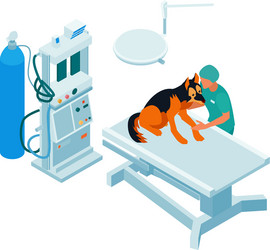 Surgery Clipart Funny Dogs