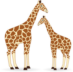 Cartoon Giraffe Royalty Free Vector Image - VectorStock