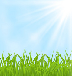 Spring nature background with grass Royalty Free Vector