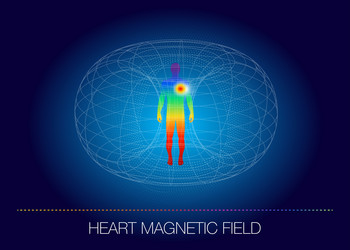Heart magnetic field2 Royalty Free Vector Image