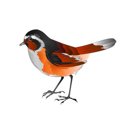 Songbird Vector Images (over 3,900)