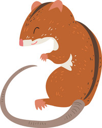 Field mouse cute fluffy red rodent animal Vector Image