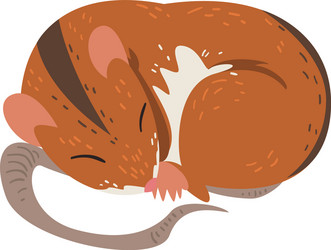 Field mouse cute fluffy red rodent animal Vector Image
