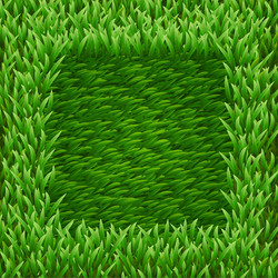 Green grass texture floral nature spring Vector Image