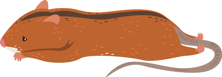 Field Mice Mouse Vector Images (over 140)