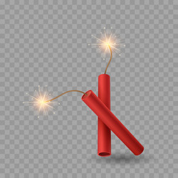 Realistic tnt and dynamite sticks with timer Vector Image