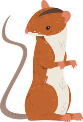 Field mouse cute fluffy red rodent animal Vector Image