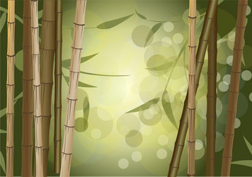 Bamboo background Royalty Free Vector Image - VectorStock