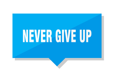 Never give up banner sign speech Royalty Free Vector Image