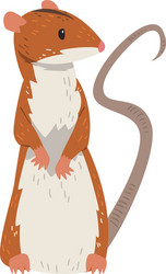 Field Mice Mouse Vector Images (over 140)