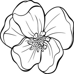 Drawings Of Japanese Flowers