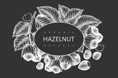 Hand drawn sketch hazelnut design template Vector Image