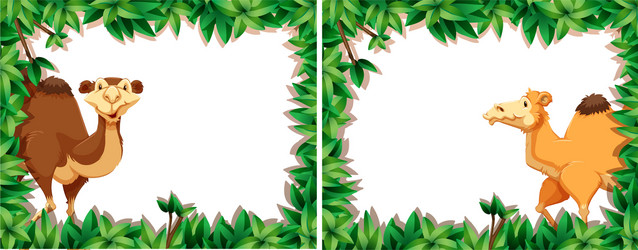 Camel Border Vector Images (over 140)
