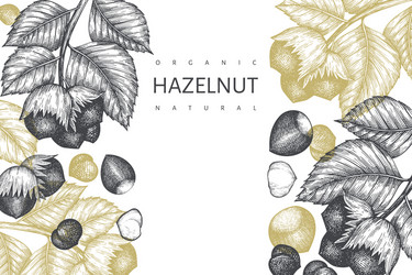 Hand drawn sketch hazelnut design template Vector Image