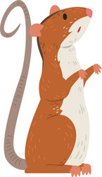 Field mouse cute fluffy red rodent animal Vector Image