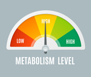 Symbol Level Indicator Vector Images (over 15,000)