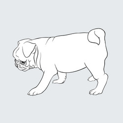 Set pug dogs outline hand drawing Royalty Free Vector Image