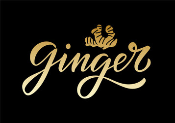 Ginger creative lettering with a hand drawn Vector Image