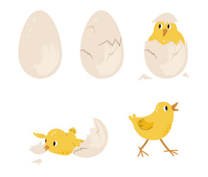 Chicken hatching from egg Royalty Free Vector Image