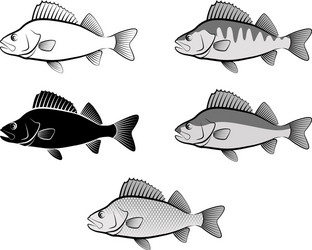 Perch Vector Images (over 9,500)