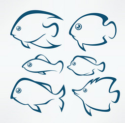 Angelfish tropical triangle fish side view Vector Image