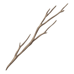 Branch with berries Royalty Free Vector Image - VectorStock