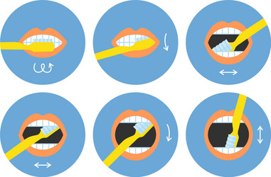 How to Brush Your Teeth Vector Images (28)