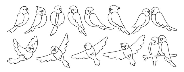 Parakeet Outline Vector Images (over 390)