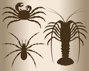 Arthropods Vector Images (over 5,000)