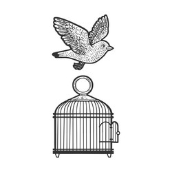Bird Cage Line Drawing Vector Images (over 620)