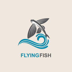 Graphic flying fish collection Royalty Free Vector Image