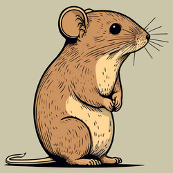 Rodent Vector Images (over 42,000)