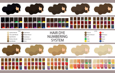 Palette with hair colour numbering system Vector Image