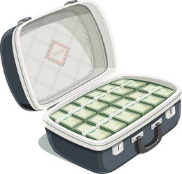 Open Briefcase Vector Images (over 2,900)