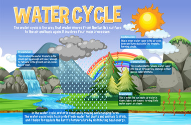 Water cycle for science education Royalty Free Vector Image